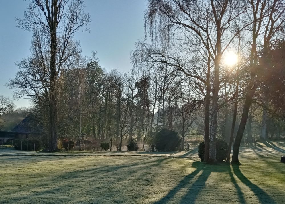 Le printemps est arrivé, la belle saison ! - Le Toutounier